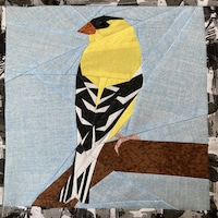 Robin Paper Piecing Pattern - Etsy Canada