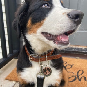 K9 Officer Police Badge Dog Tag-custom Engraved Dog Collar - Etsy