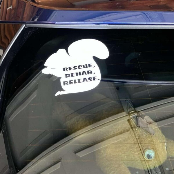 Vinyl Skunk Rehabber Decal, Skunk Car Decal, Gift for Skunk Lover ...