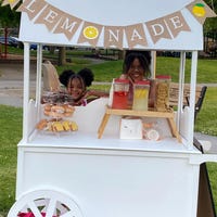 Candy Cart Traditional Style (foldable) PLANS With Measurements ...