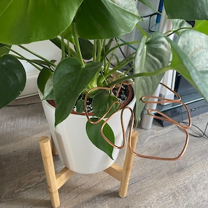 Monstera Shaped Plant Support Gold Coloured - Etsy