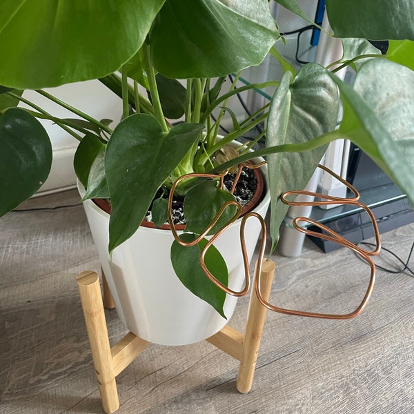 Monstera Shaped Plant Support - Copper Coloured - Etsy