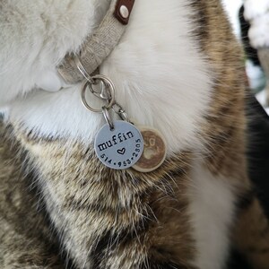 Handmade Custom Hand-stamped Dog/cat Tag the zeus Extra Small ...