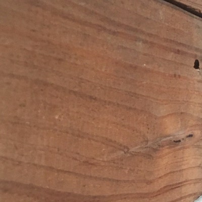 The Rockfish by Shellpipe free Pipes With Every Order Shell Pipe ...