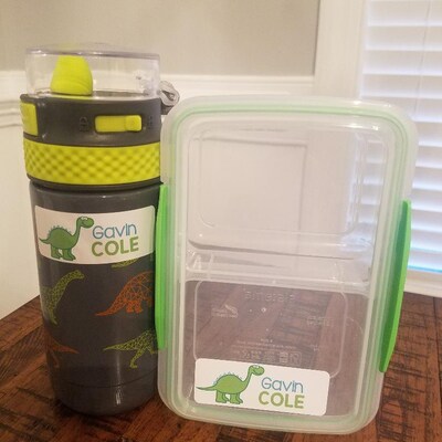 Dinosaur Name Stickers, 30 Personalized Dino Stickers, Dishwasher Safe ...