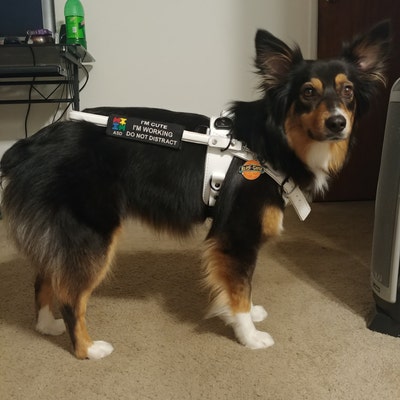 Custom Handle for Your Dog Harness, Rigid Handle, Semi Rigid Handle ...