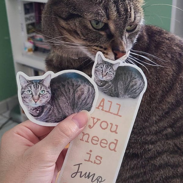 Thank You Mailbox Decal, Mailman Sticker, Mailbox Sticker, Mailbox ...