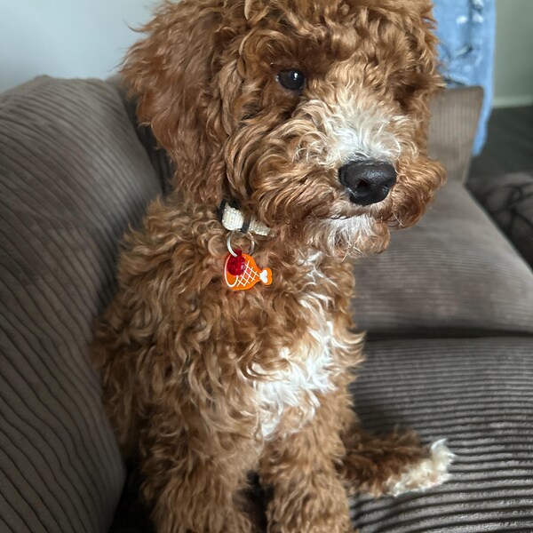 Personalized Engraved Slide-on GPS Pet Tag Holder, Silicone Tile Mate ...