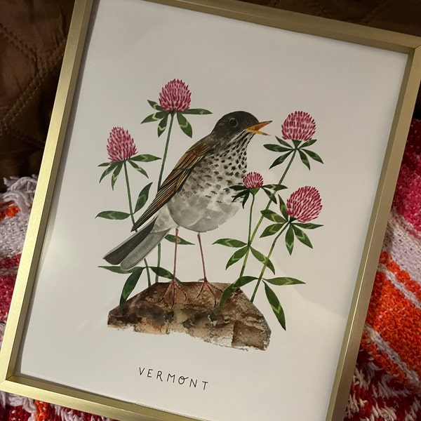 Vermont State Bird Art Print | Vermont Hermit Thrush and Red Clover ...