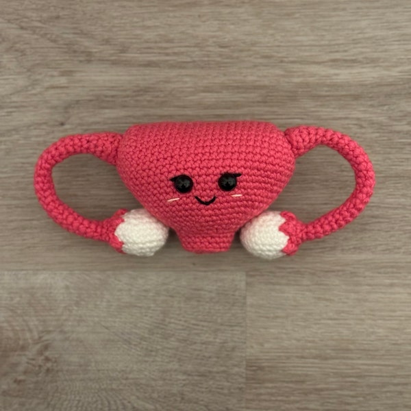 Anatomical Uterus Crochet Pattern PATTERN ONLY Instant DOWNLOAD ...