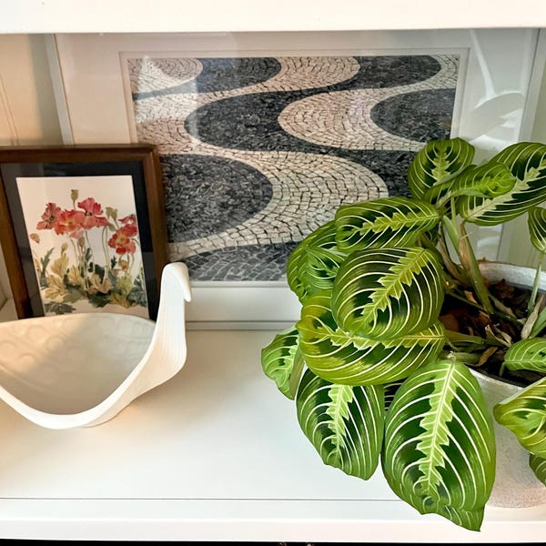 Seattle Art, Pacific Northwest Print, Washington Ferry Boat Photo - Etsy