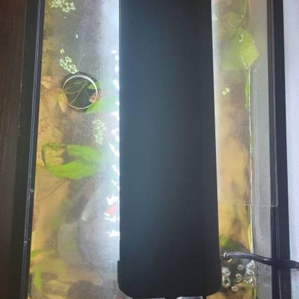 Acrylic Aquarium Lid: 2.5/5.5/10 Gallon | Clear Terrarium Cover ...
