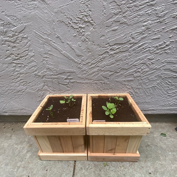 Square Cedar Planter Box: Large Tree Flower Patio Indoor/outdoor Garden ...