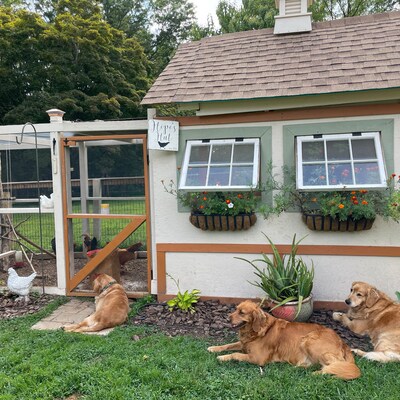 Treehouse Sign, the Treehouse Sign, Fort Signs, Camping Signs, Tree ...