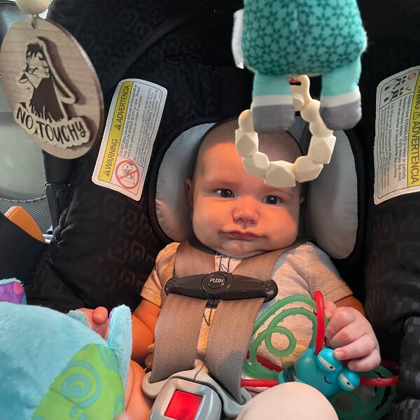Do Not Touch Baby Car Seat Tag | Your Germs Are Too Big for Me ...