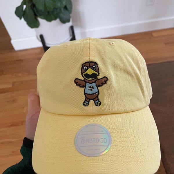 DEN Custom Embroidered Airport Code Hat, Airport Code Monogrammed Hat ...