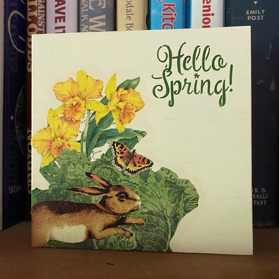 HELLO SPRING Cookie Stencil designer Stencils 5 X 5 - Etsy