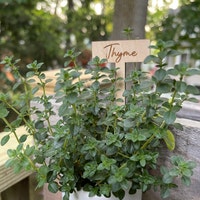 Set of Plant Markers | Potted Plant Sign | Herb Marker | Plant Stake ...