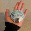 Golden or Silver Sea Shell Compact Mirror, One Side Magnified - Etsy Canada