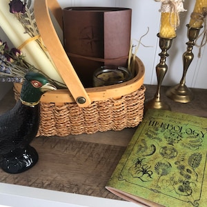 Potion Making Font Family - Etsy