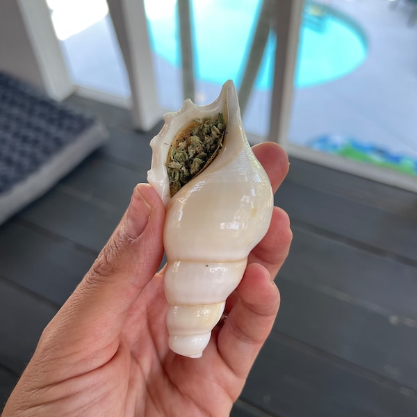 The Rockfish by Shellpipe free Pipes With Every Order Shell Pipe ...