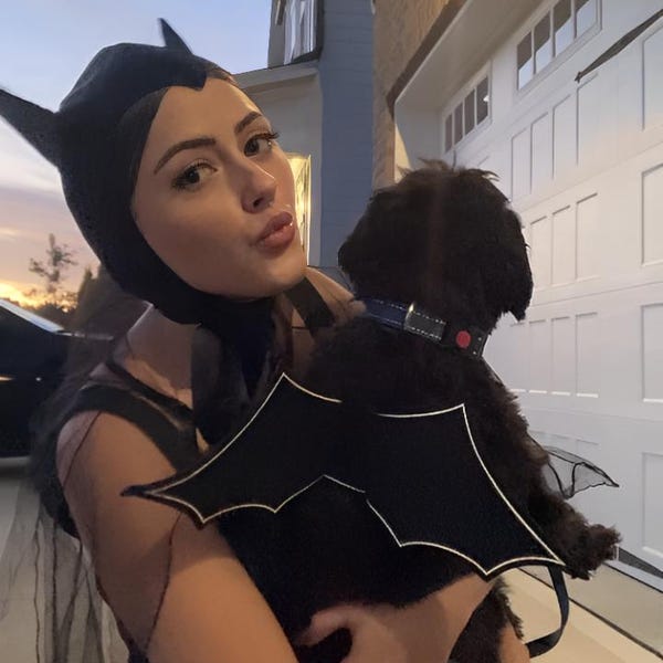 Red Evil Silk Satin Bonnet Horns Halloween Devil Woman Vintage Bonnet ...