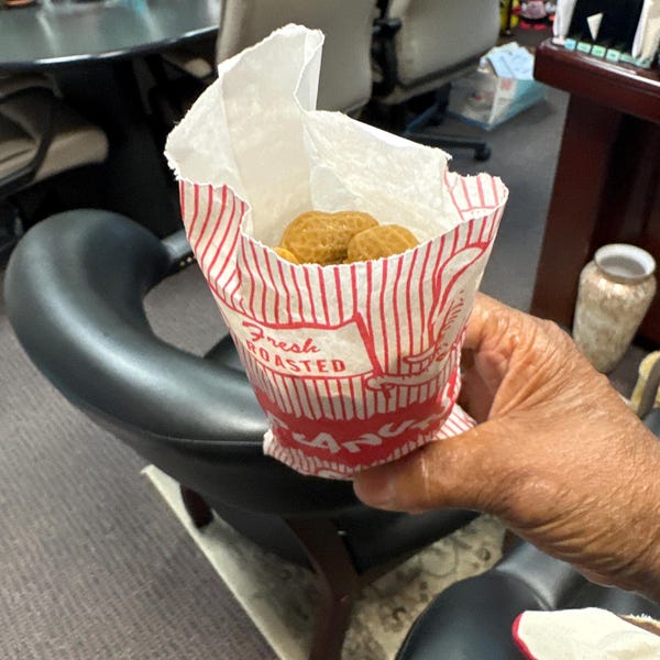 5” Pie/pastry Crust Embed, Wax Crust, Crust Embed, 5 Inch Crust, Pie Crust, Fake Food, Fake ...