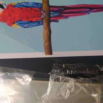 Japanese Vintage Style Art Set of 4 Poster Prints Koitsu Tsuchiya ...