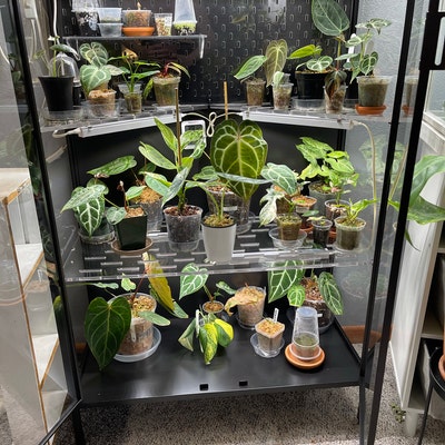Milsbo Tall Side RISER Ikea Acrylic Shelves greenhouse - Etsy