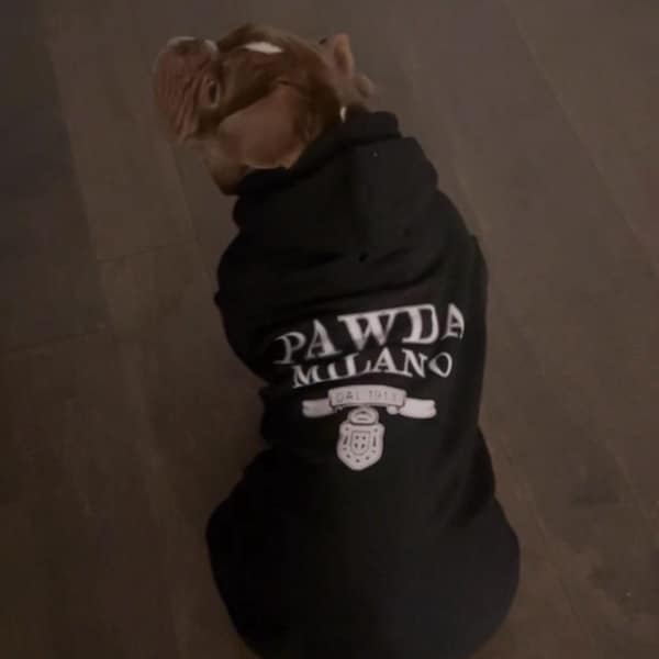 Designer Dog Hoodie or Shirt Prada "pawda" Fun Trendy Cozy Pet Sweater ...
