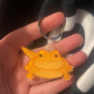 Chibi Stegosaurus Stickers and Magnets - Etsy