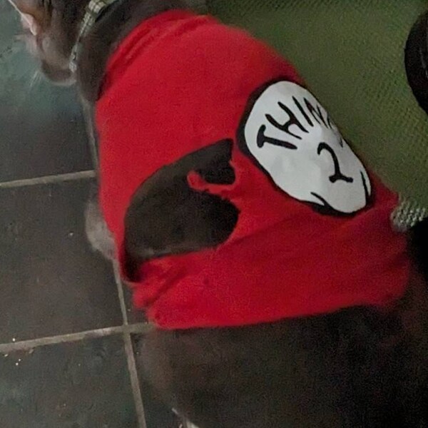 Matching Cat Tank Tops Funny Matching Cat Shirts, Matching Cat Outfit ...