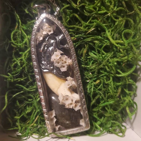 Kali Rising: Holy Rage Personalized Autographed Copy | Author | Girl ...