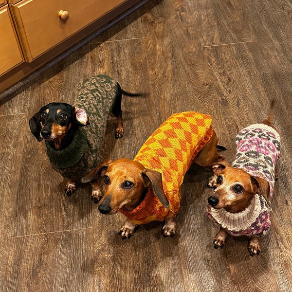 Unique Harlequin Dog Sweater - All Breeds - Wool - Dachshund Clothing ...