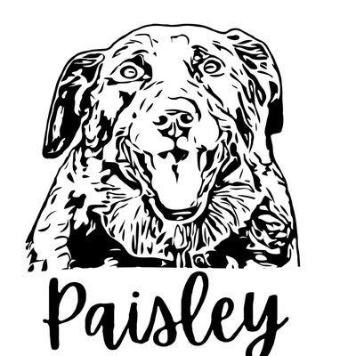 Custom Pet SVG Files digital - Etsy