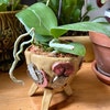 Custom Crow Ceramic Planter-handmade Ceramic Planter-bird Planter ...
