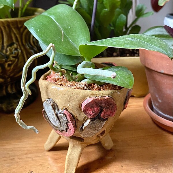 Custom Crow Ceramic Planter-handmade Ceramic Planter-bird Planter ...