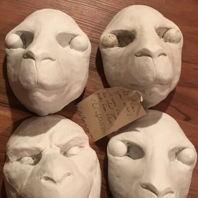 Mummified Faerie Specimen Fairy Skeleton Dead Fairy Curio Cabinet ...