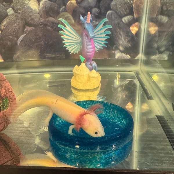 Aquarium Plant Holder (stacked Stones) - Etsy