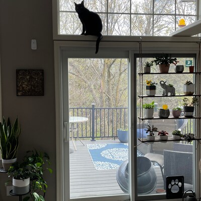 20 Wooden Farmhouse Patio Planter, Cottage Planter, Handmade Rustic ...