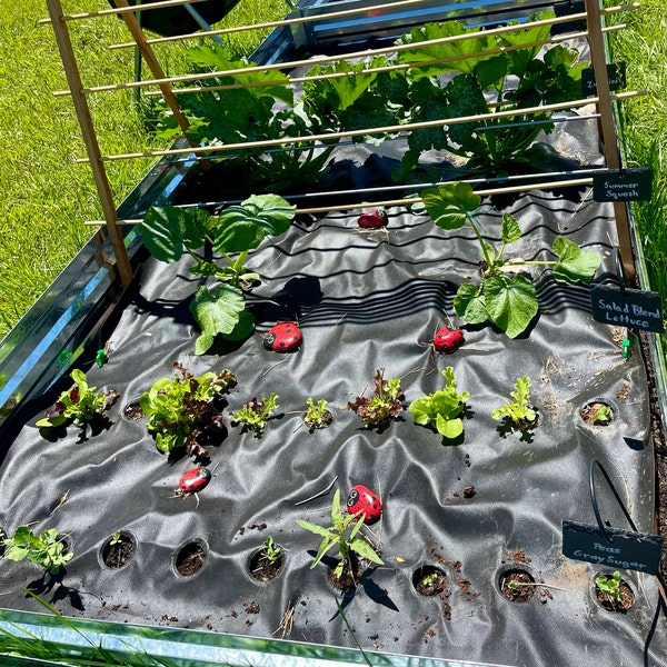 Hardwood Trellis - A Frame, 4ft and 6ft Plant Playground, Fun for ...