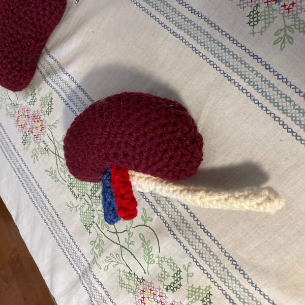 Kidneys Crochet Pattern, Kidney Crochet Pattern, Kidney Amigurumi ...