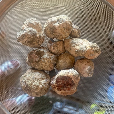 Unopened Brazilian Enhydro Geode - Etsy