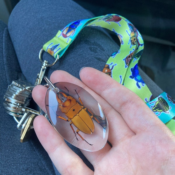 Real Scorpion in Resin Paperweight - Etsy