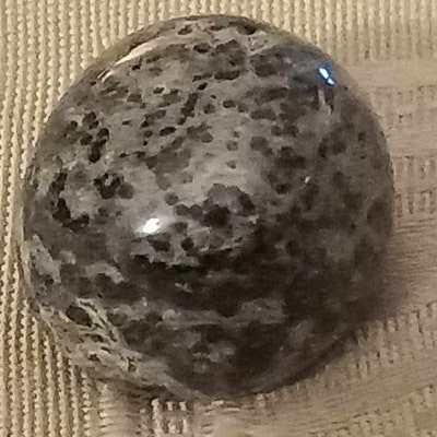 Shark Crystal Box, Fossil Gift Box, Shark Tooth Crystal Set, Fossil ...