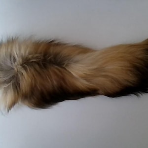 Professionally Soft Tanned Coyote Tail/real Fur - Etsy