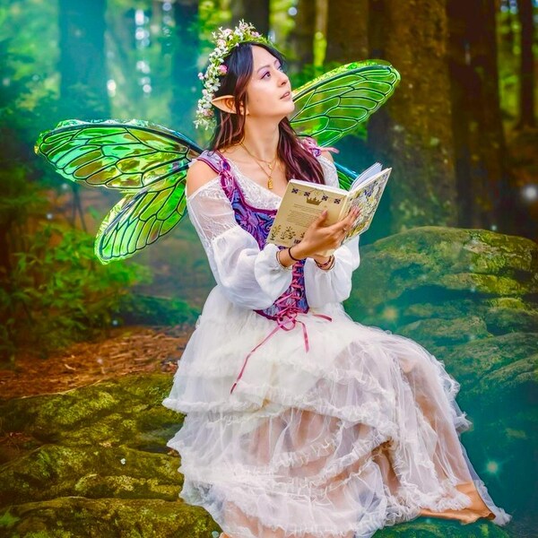 Fawn Inspired Fairy Wings / Fairy Wings Similar to Fawn / Fairy Wings ...