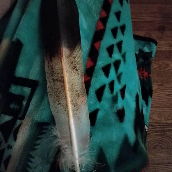 Native American Made Red Tailed Hawk Feather: Hand Painted - Etsy