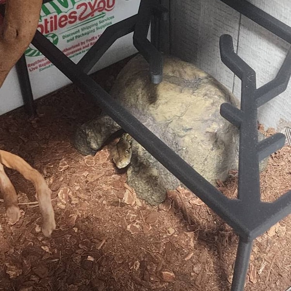 Perchcraft Large Snake Perch - Etsy