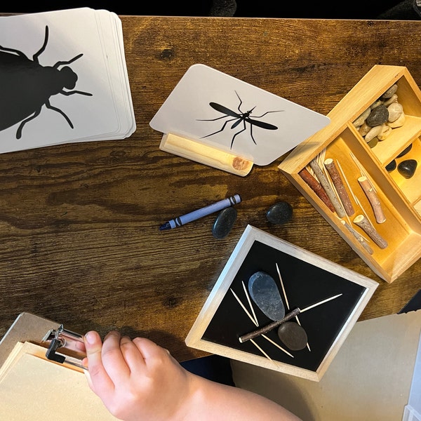 Animal Classification Sorting Set, Montessori Object Classification ...